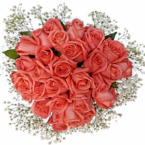 Buque com 30 Rosas Coral